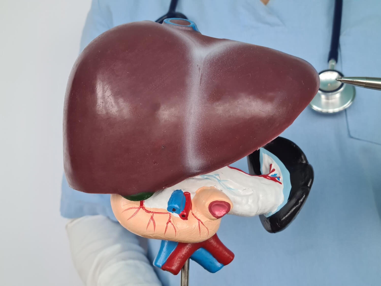 Hepatitis A Symptoms: Know the Signs and When to Seek Help - NowServing ...